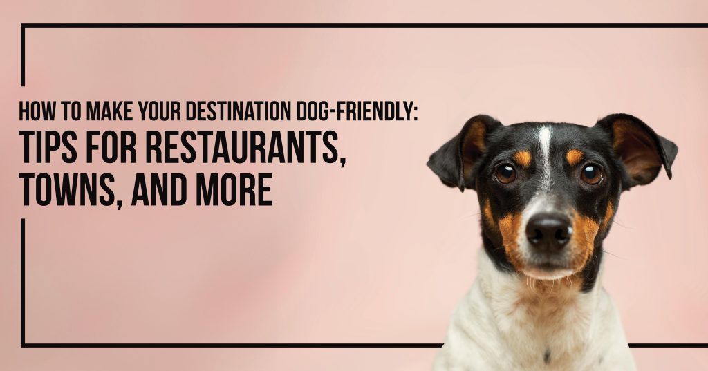 How to Make Your Destination Dog-Friendly: Tips for Restaurants, Towns ...